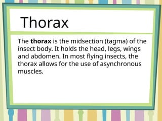 Lesson 10 Parts of Animals-LAND, WATER AND AIR .pptx