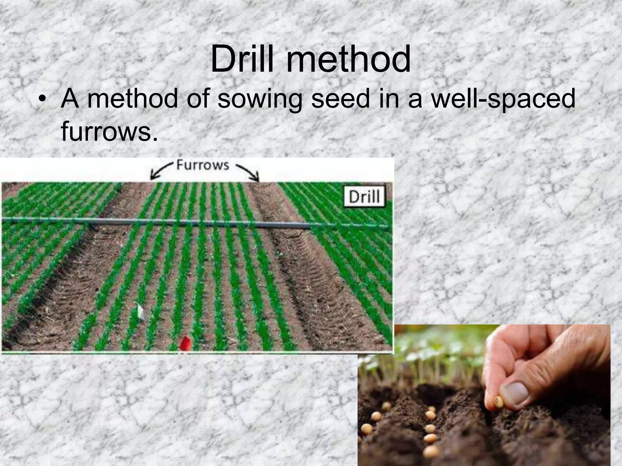 Lesson 10 (week 18 & 19) the metric system | PPT