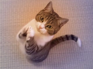 Lesson 11 - Yonder Mountain - 2016 | PPT | Geography | Science