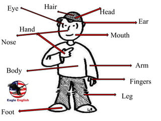 YWC 2 - Lesson 11 body parts | PPTX