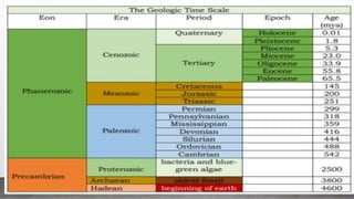 Lesson 11 Geologic Time Scale.pptx