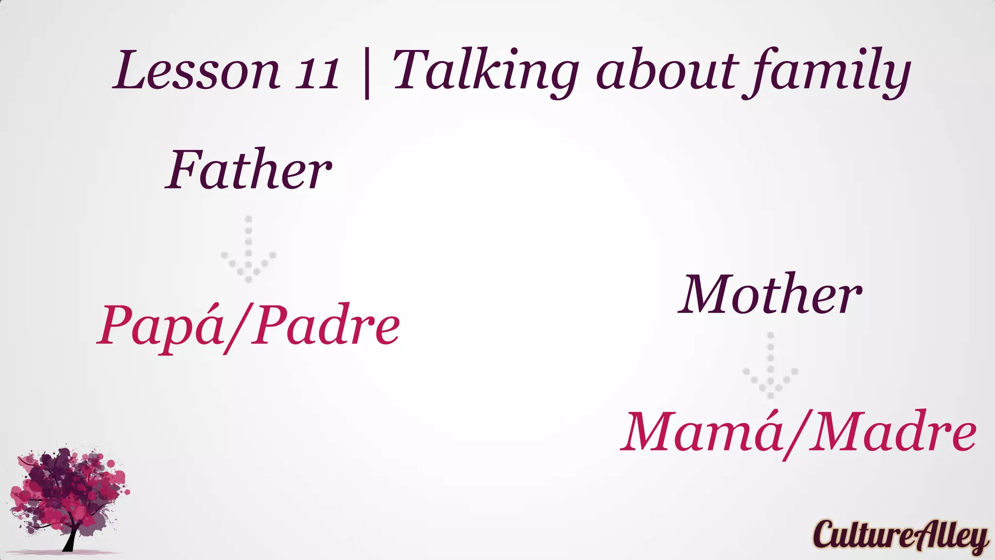 Basic Spanish | Lesson 11 | Talking about family | PPTX