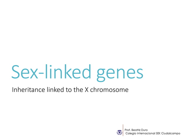 Lesson 11 Sex Linked Genes Ppt