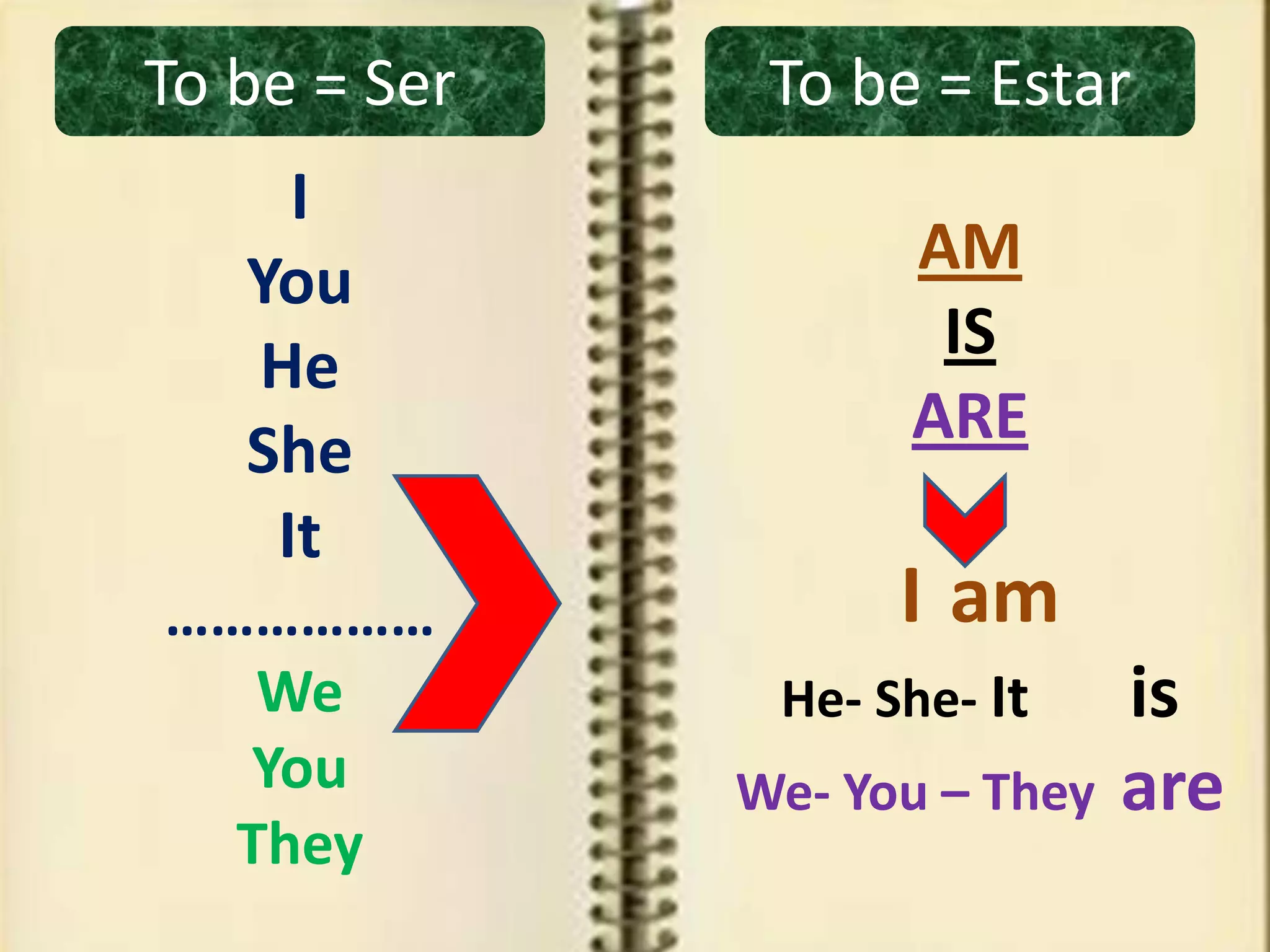 Lesson 11 to be ser y estar | PDF