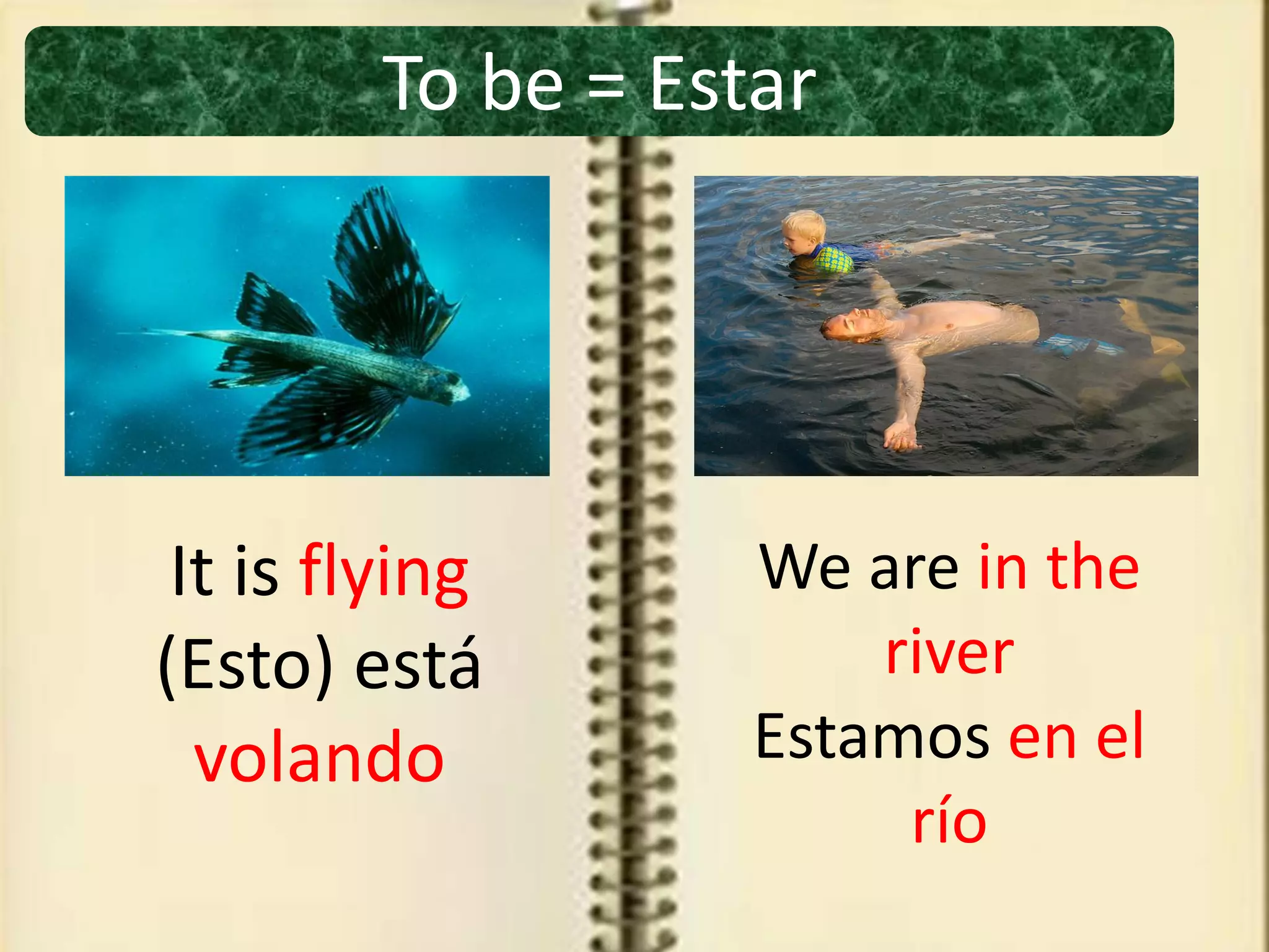 Lesson 11 to be ser y estar | PDF