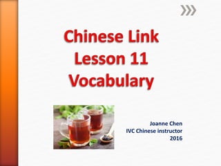 Chinese Link Lesson 11 Vocabulary | PPTX