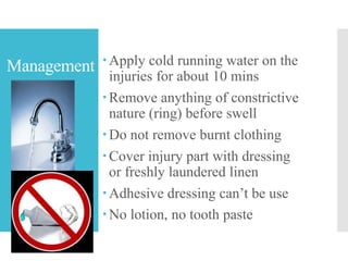 初级组 Lesson 12 | PPT