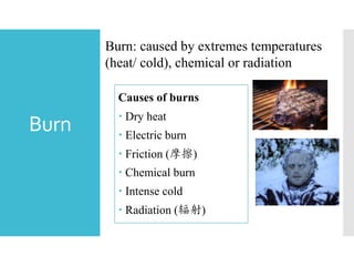 初级组 Lesson 12 | PPT