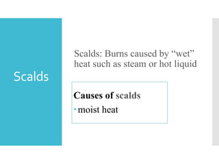 初级组 Lesson 12 | PPT