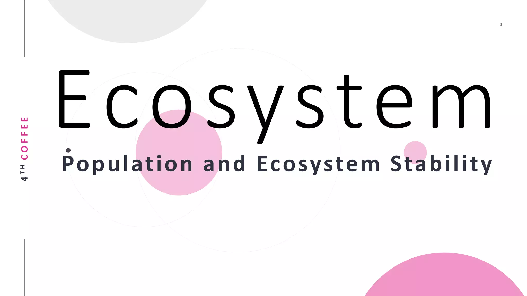 Lesson 12 Ecosystem and Stability | PPTX