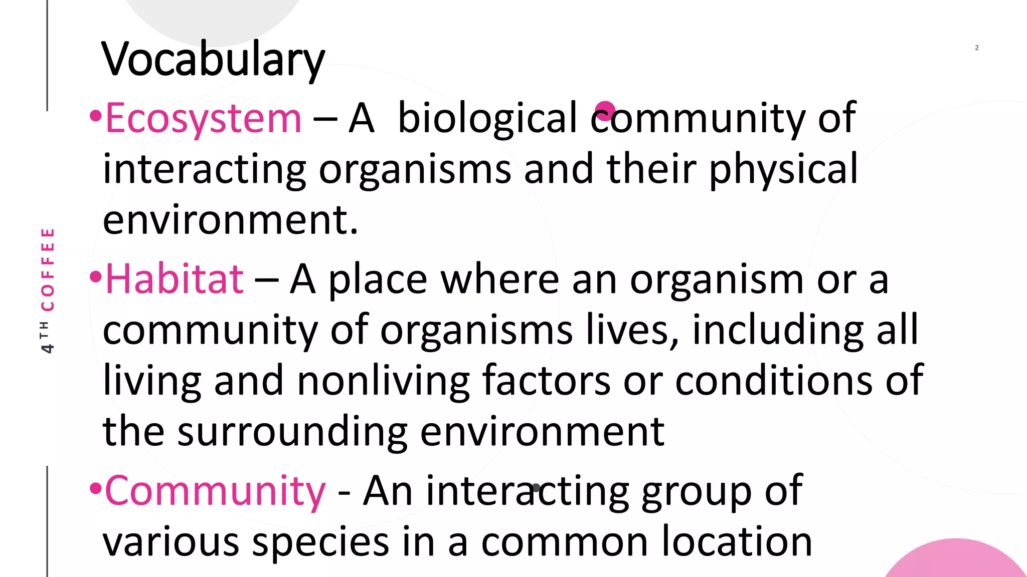 Lesson 12 Ecosystem and Stability | PPTX