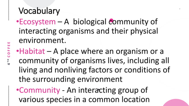 Lesson 12 Ecosystem and Stability | PPTX