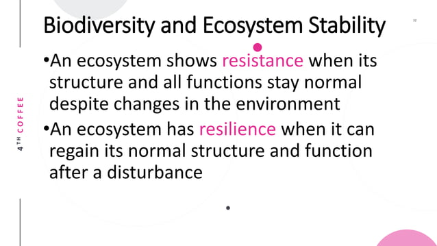 Lesson 12 Ecosystem and Stability | PPTX