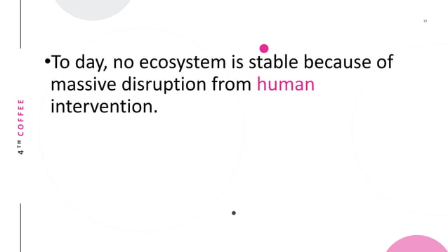 Lesson 12 Ecosystem and Stability | PPTX