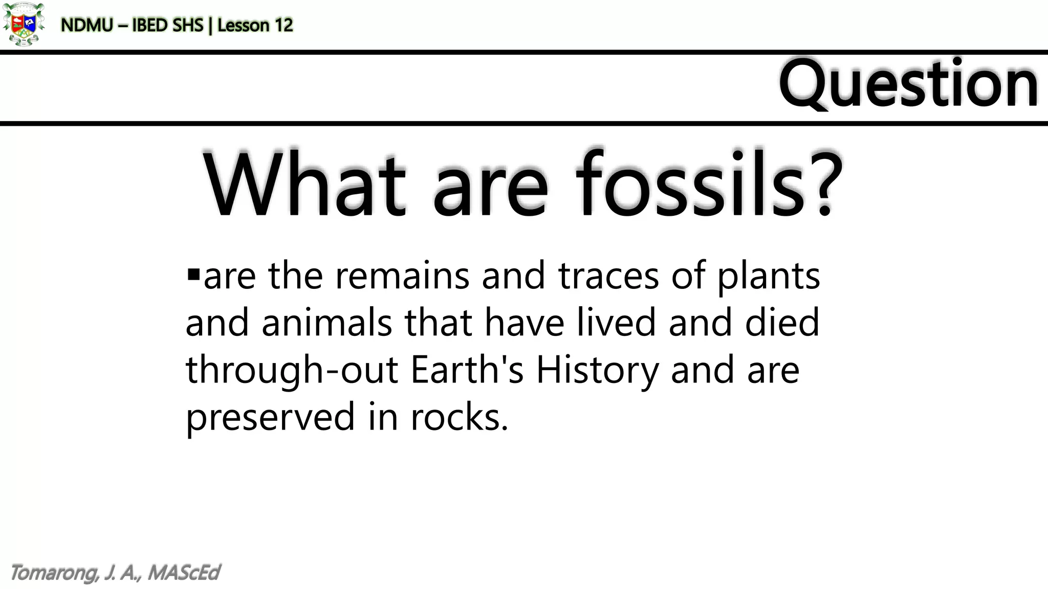 Lesson 12 - Geologic Time Scale.pptx | Reptiles | Pets