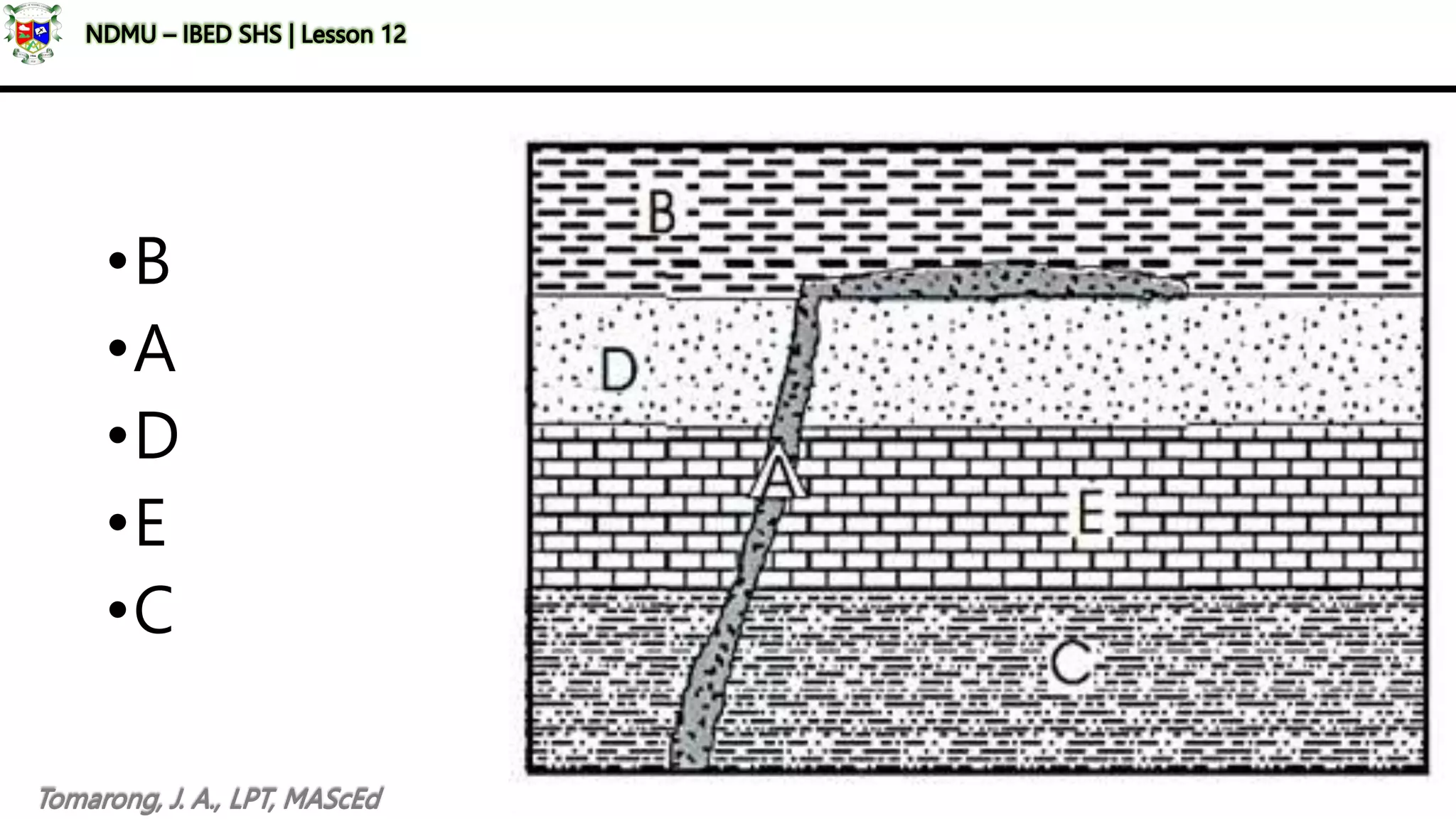 Lesson 12 - Geologic Time Scale.pptx | Reptiles | Pets