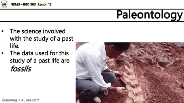 Lesson 12 - Geologic Time Scale.pptx | Reptiles | Pets