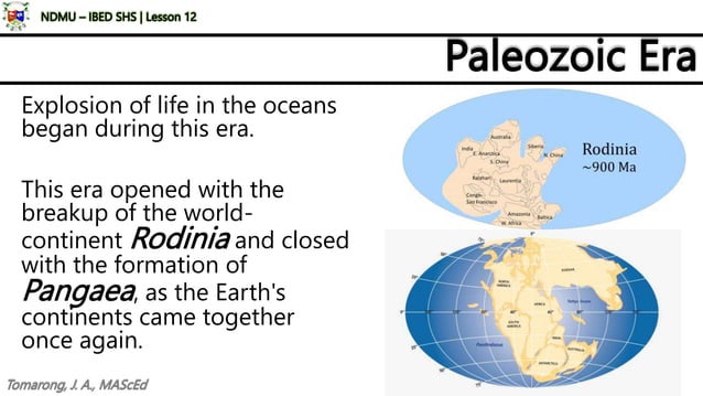 Lesson 12 - Geologic Time Scale.pptx | Reptiles | Pets