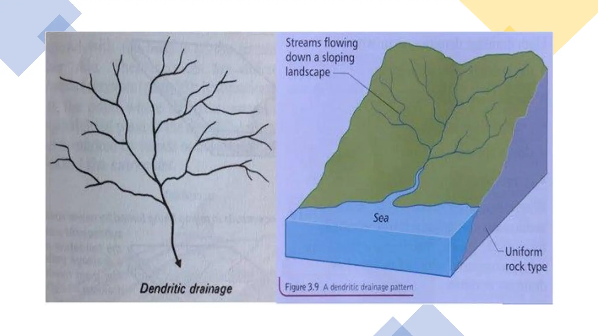 Lesson 12_Catchment and Stream Pattern.pdf