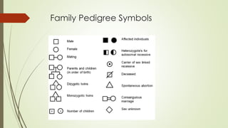 Lesson 12 Family pedigree | PDF