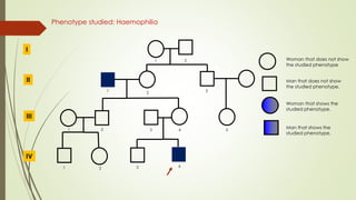 Lesson 12 Family pedigree | PDF