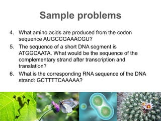 Lesson 12 Nucleic Acids | PDF