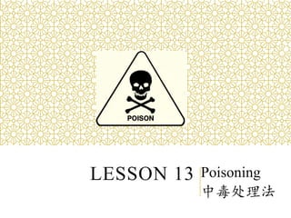 初级组 Lesson 13 | PPT