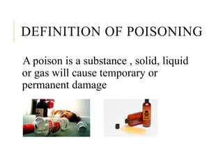 初级组 Lesson 13 | PPT