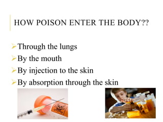 初级组 Lesson 13 | PPT