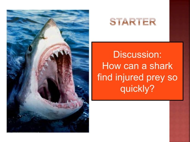 Lesson 13 diffusion | PPTX