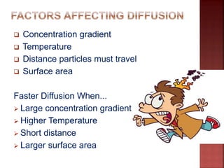 Lesson 13 diffusion | PPTX