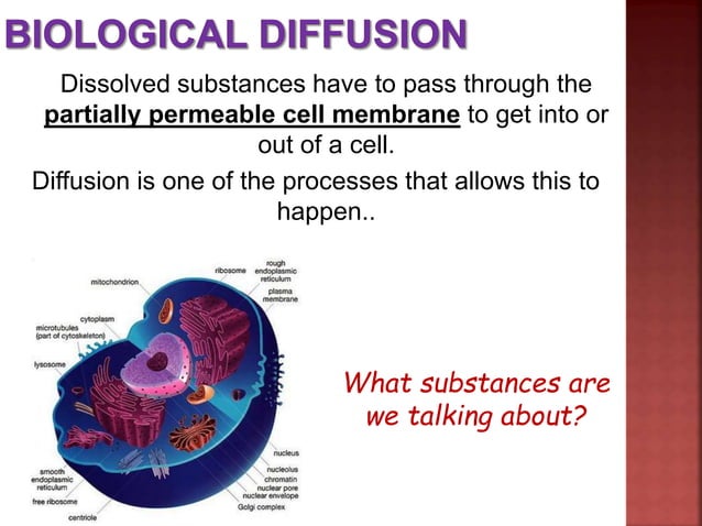 Lesson 13 diffusion | PPTX