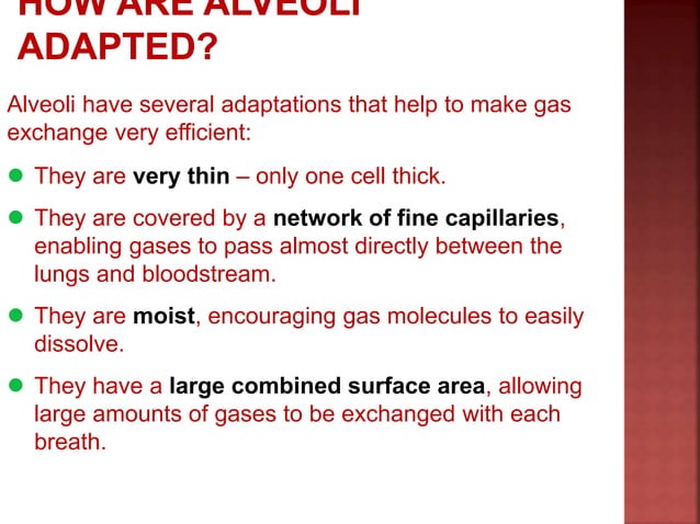 Lesson 13 diffusion | PPTX