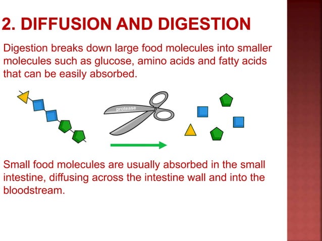 Lesson 13 diffusion | PPTX