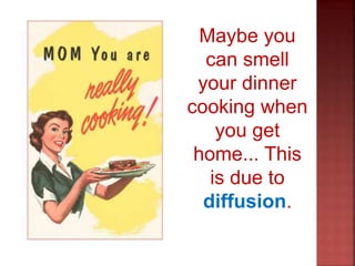 Lesson 13 diffusion | PPTX