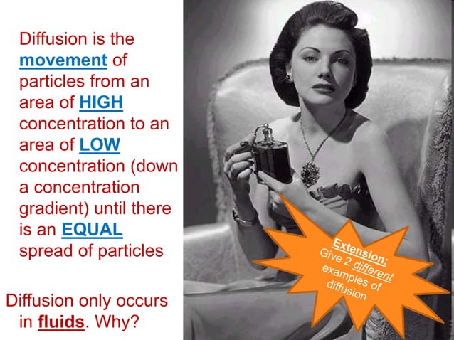 Lesson 13 diffusion | PPTX