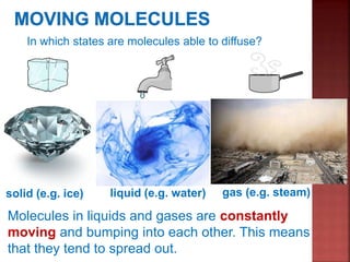 Lesson 13 diffusion | PPTX