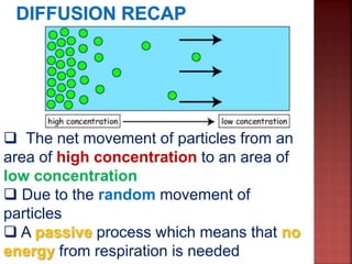 Lesson 13 diffusion | PPTX