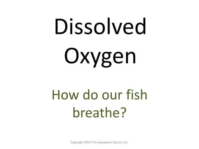 Lesson 13 dissolved oxygen | PPTX