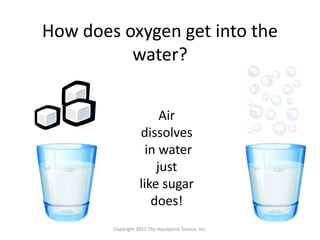 Lesson 13 dissolved oxygen | PPTX