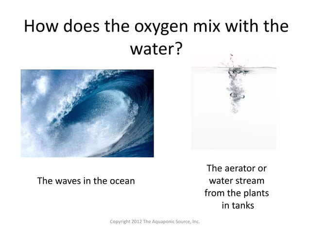 Lesson 13 dissolved oxygen | PPTX