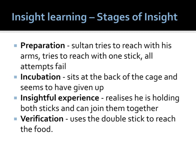 Lesson 13 insight and latent learning | PPTX