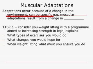 Lesson 13 responses and adaptations of the body systems | PPT