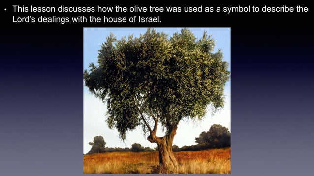 Lesson 13 allegory of the olive tree | PPTX | Christianity | Religion ...