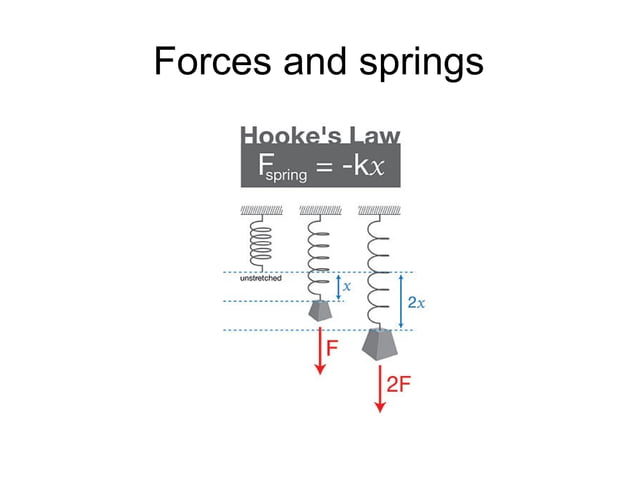 Lesson 13 hooke's law | PPT | Physics | Science