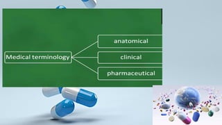 lesson 13 Pharmaceutical terminology (2).pptx