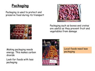 Year 10 Carbon Footprint | PPT