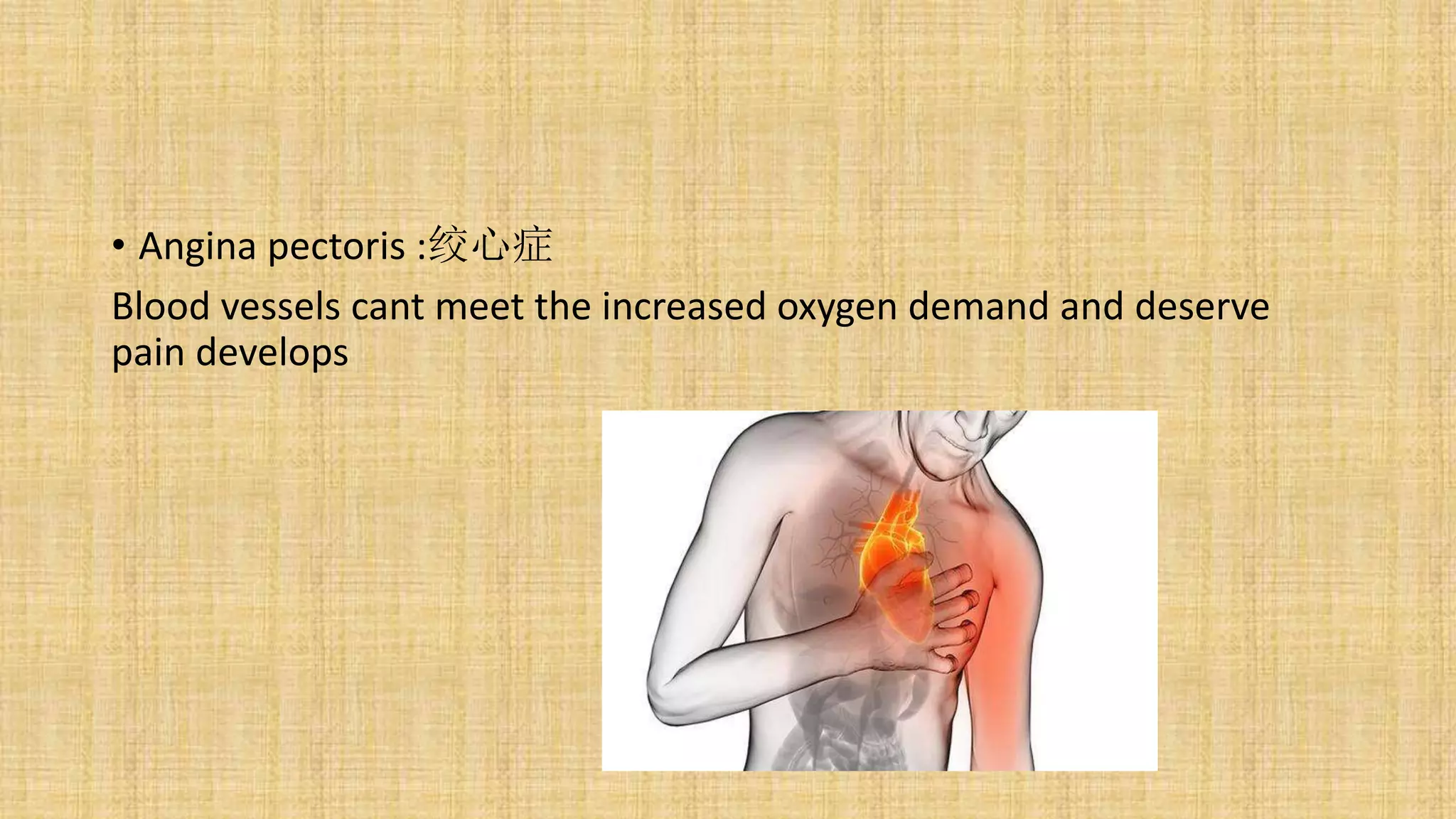 初级组 Lesson 14 | PPT
