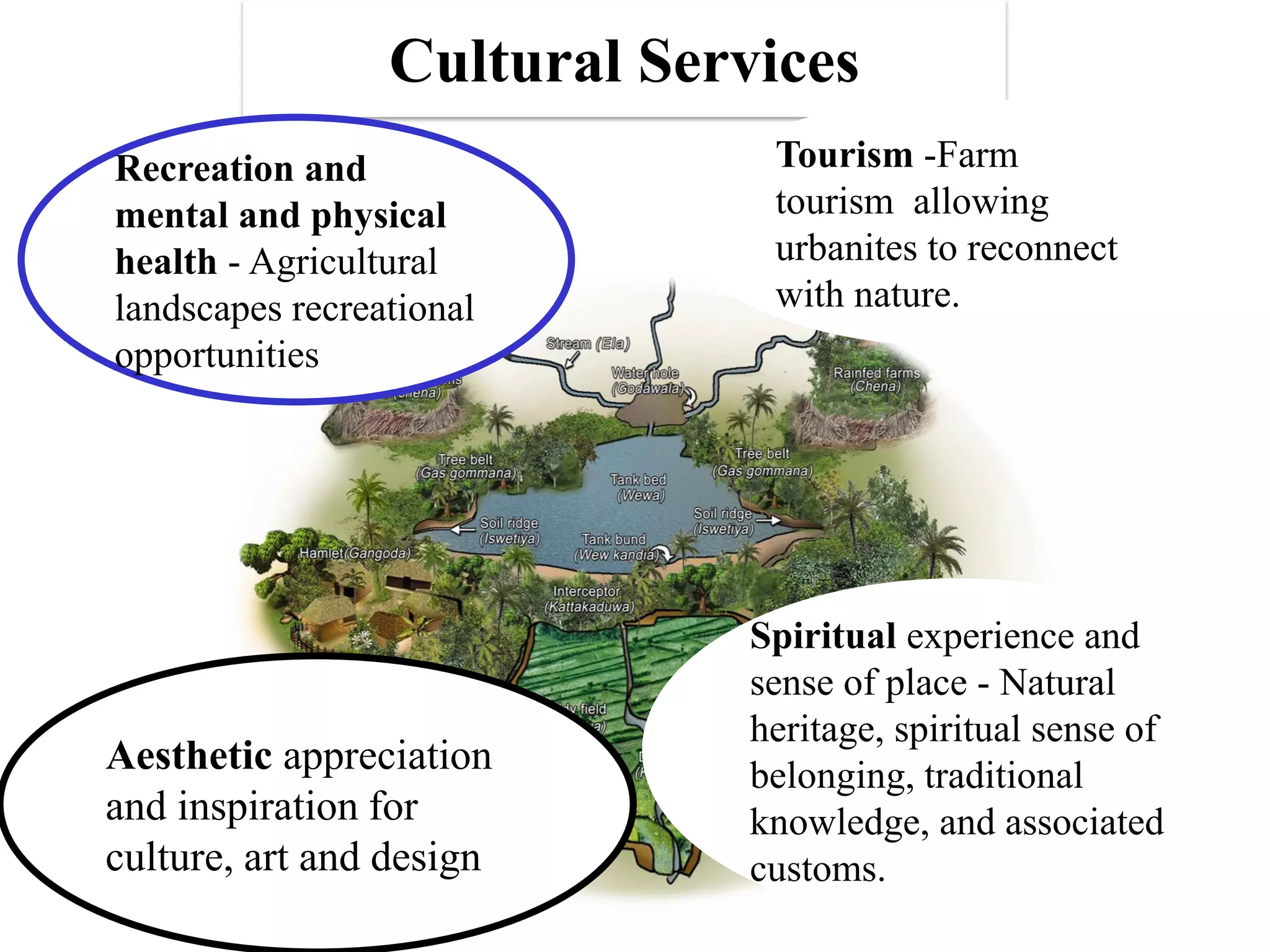 Lesson 14 Part2 of Indigenous Knowledge Systems | PDF