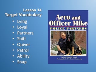 Lesson 14 - Aero and Officer Mike - 2017 | PPT